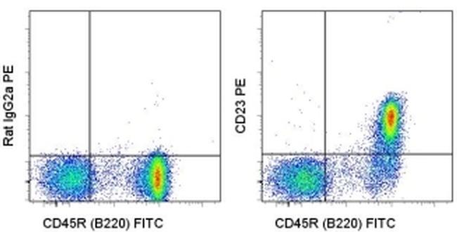 CD23 Antibody, PE (Monoclonal, B3B4)