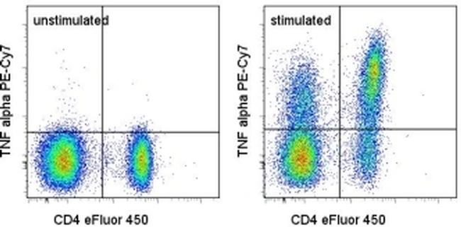 Anti-TNF alpha Antibodies | Invitrogen