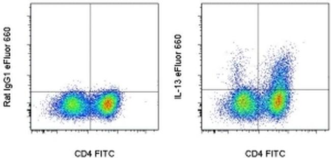 Anti-IL-13 Antibodies | Invitrogen