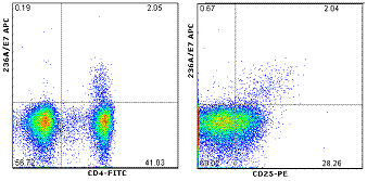 Anti-Human Foxp3 Staining Set APC, eBioscience - Thermo Fisher Scientific