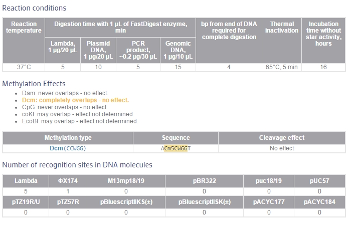 FastDigest CsiI - Thermo Fisher Scientific