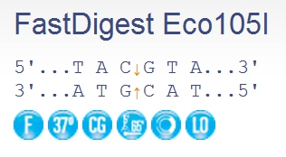 FastDigest Eco105I - Thermo Fisher Scientific